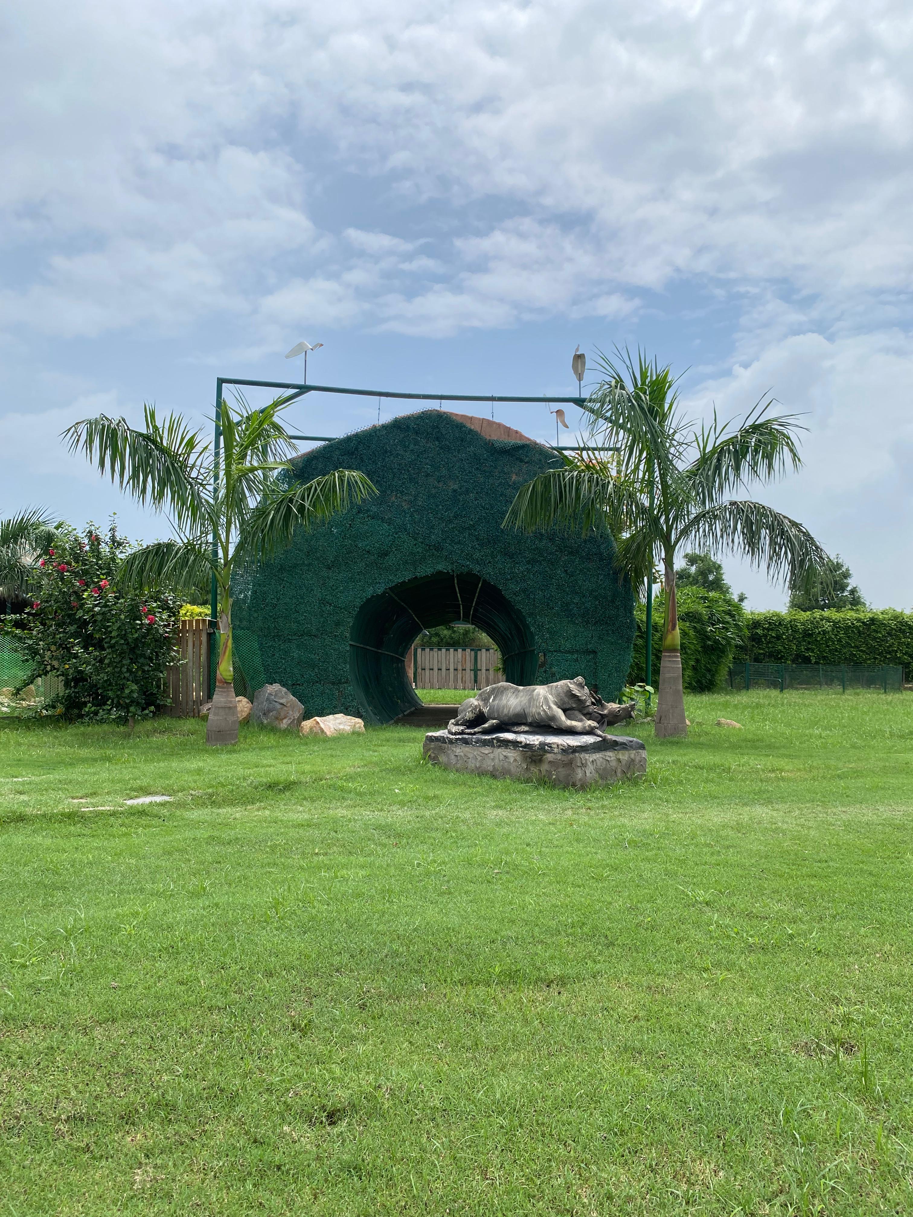 Arwa Farms
