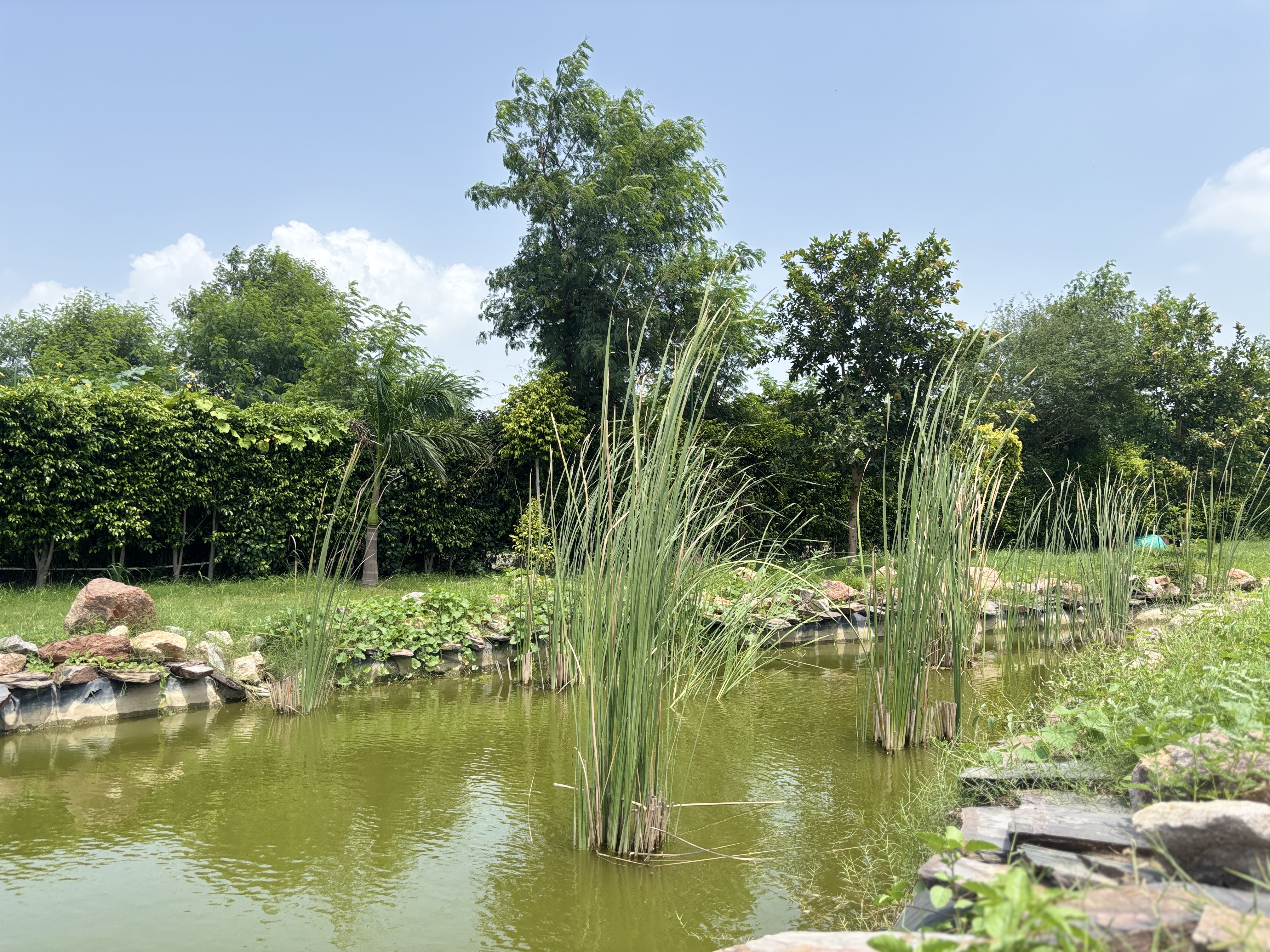 Arwa Farms